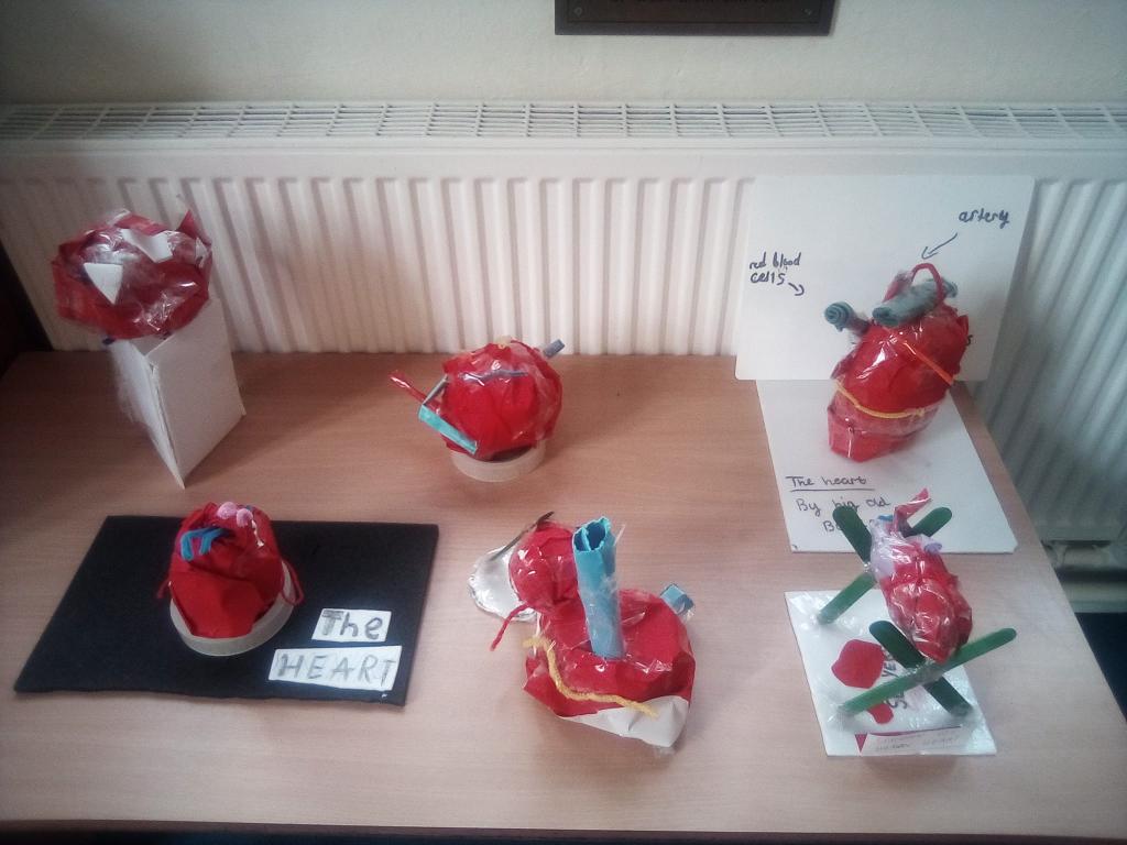 Science | Christ Church CE (VC) Primary School